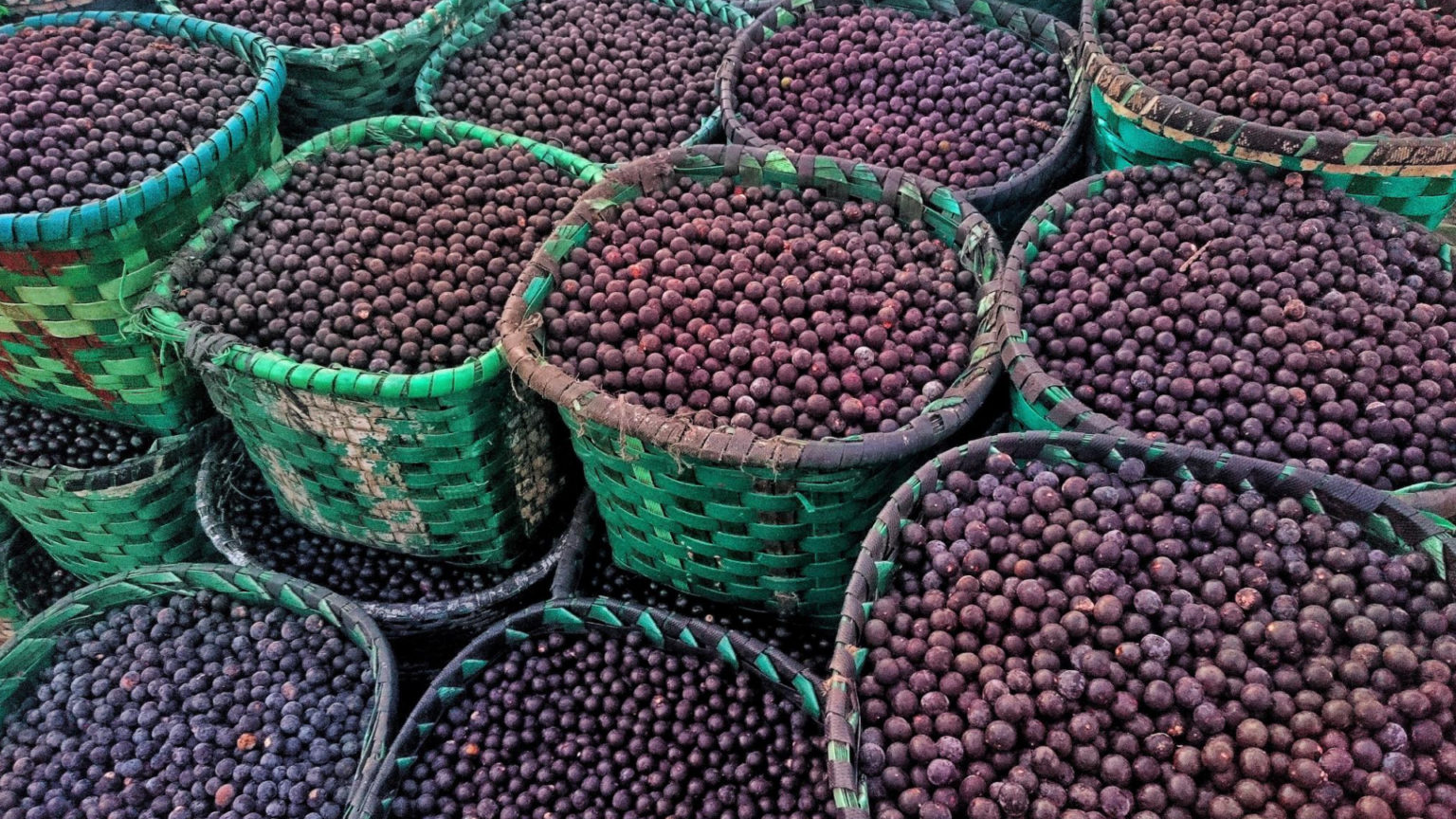 Acai - Sind die Beeren wirklich so gesund?. 100% vegan Super lecker ...